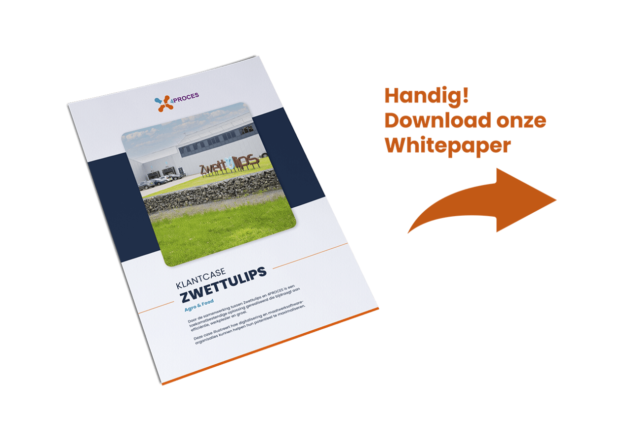 Zwettulips | 4PROCES